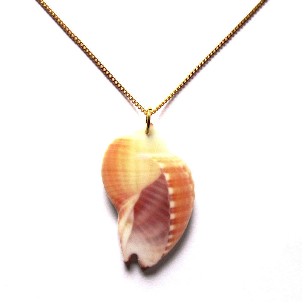 Pretty Conch Shell Acrylic Pendant Necklace – Dolly Loves PolkaDot